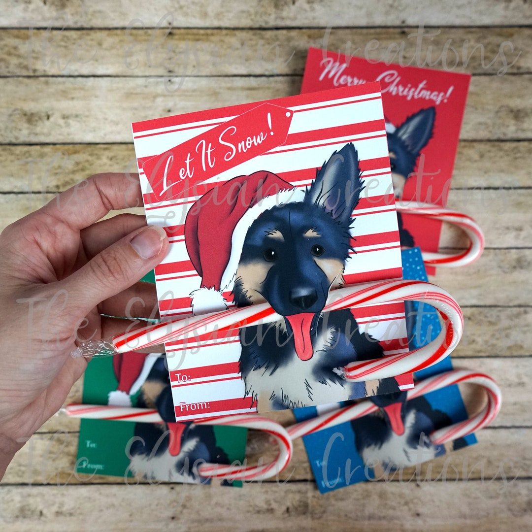 German Shepherd Teacher Christmas Cards, Coworker Holliday Card ...