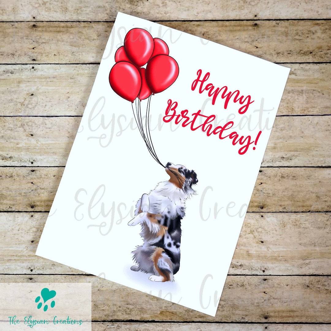 Custom Australian Shepherd Birthday Card, Blue Merle Aussie Dog ...