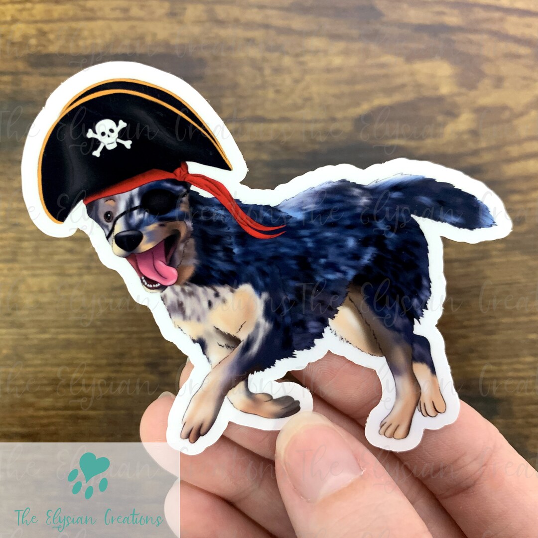 Pirate Blue Heeler Sticker, Water Proof Sticker, Dog Sticker, Water ...