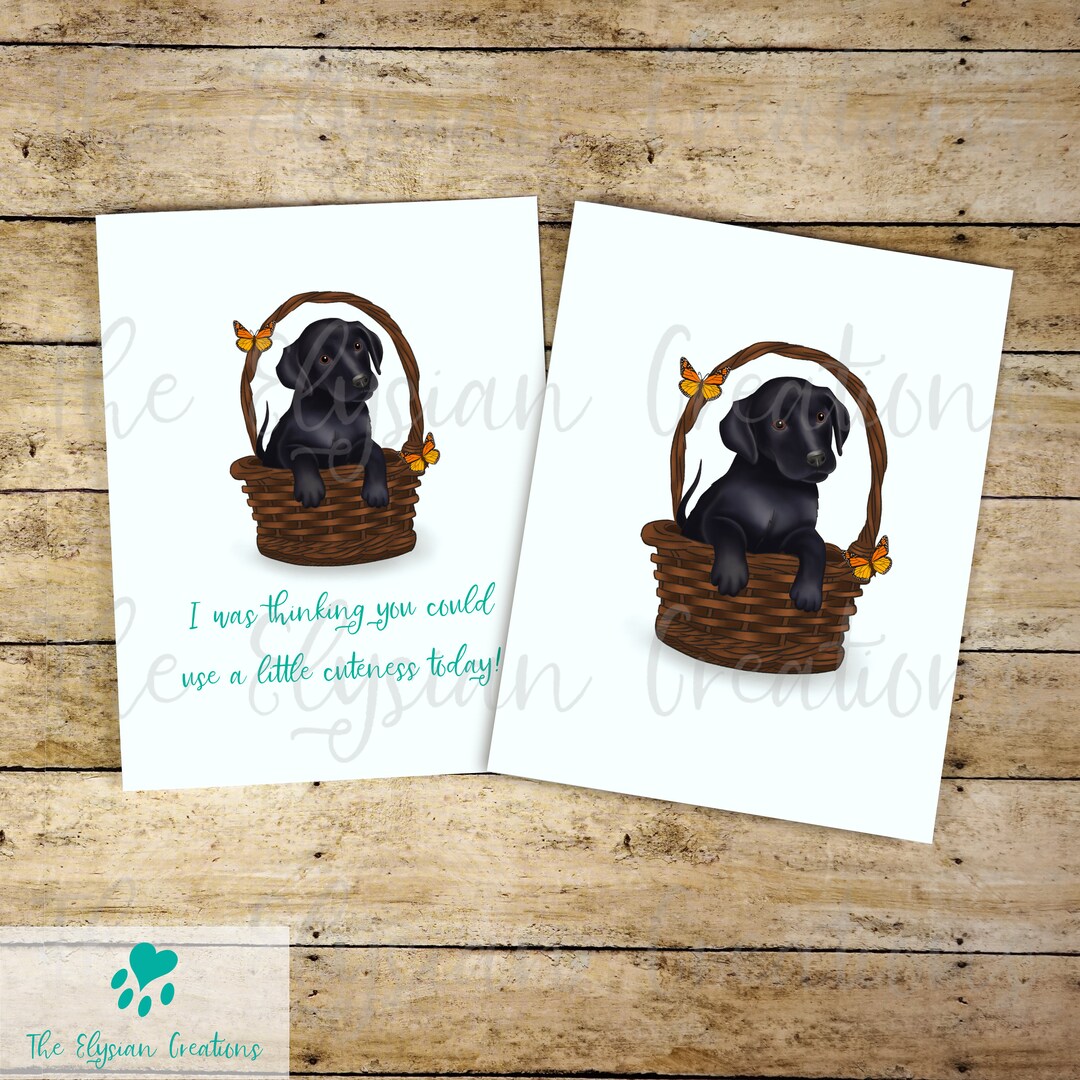 8 Labrador Note Card Set, Thinking of You Card Set, Blank Card Set, Dog ...