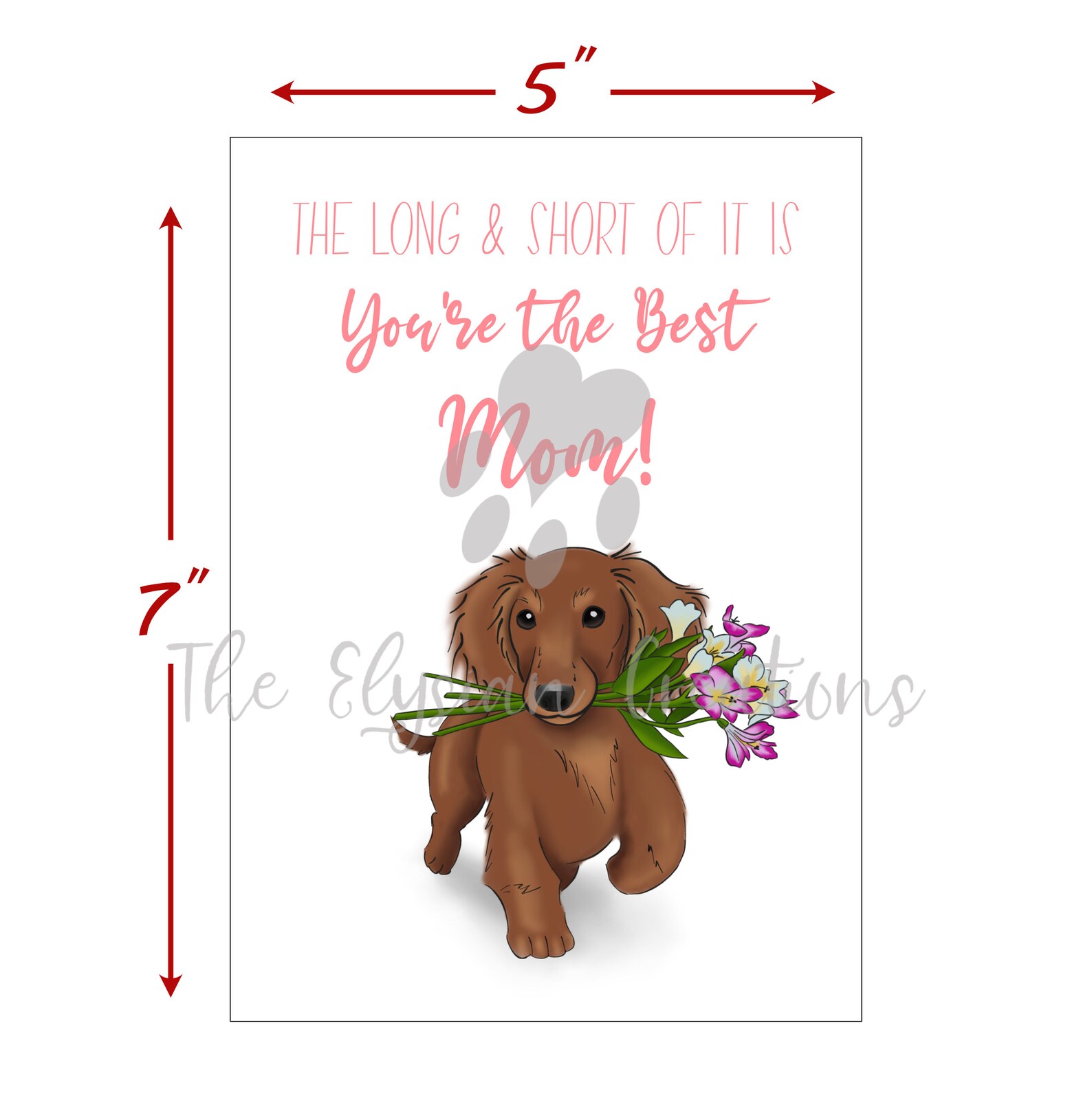 Longhair Dachshund Mother's Day Card, Dog Mother's Day Card, Funny ...
