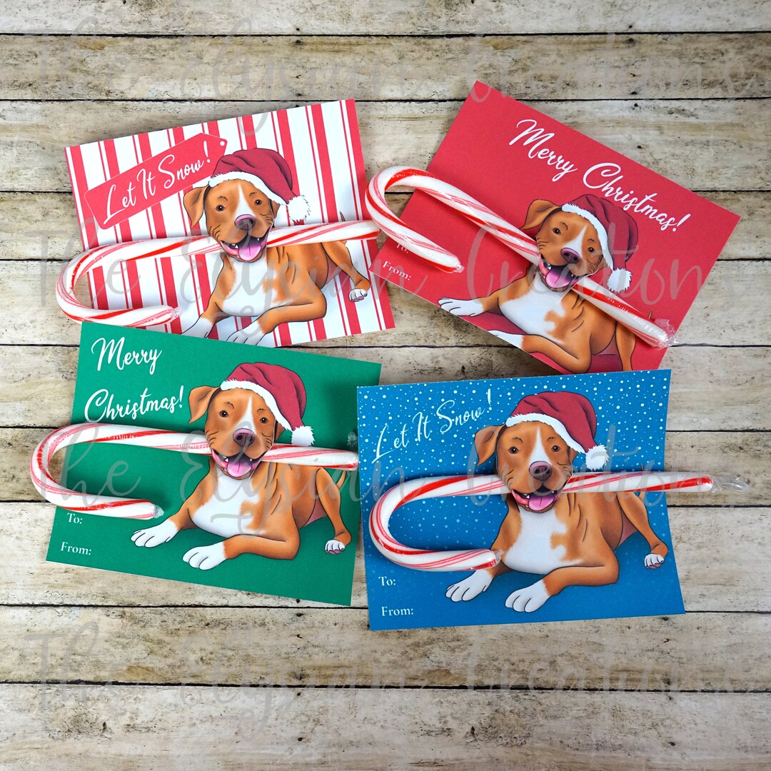 Red Pit Bull Teacher Christmas Cards, Coworker Holliday Card, Classroom ...