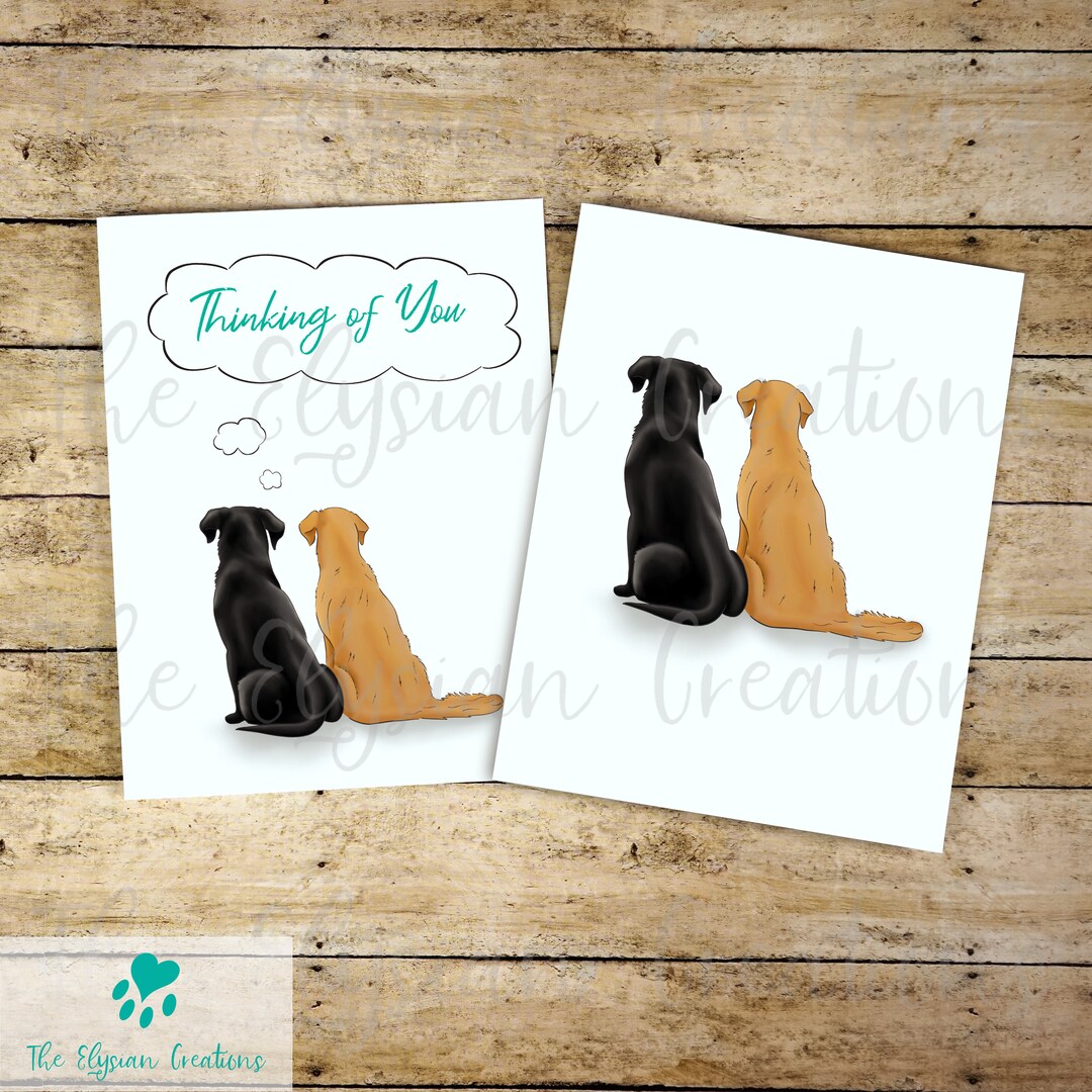 8 Labrador and Golden Retriever Note Card Set, Blank Card Set, Dog ...