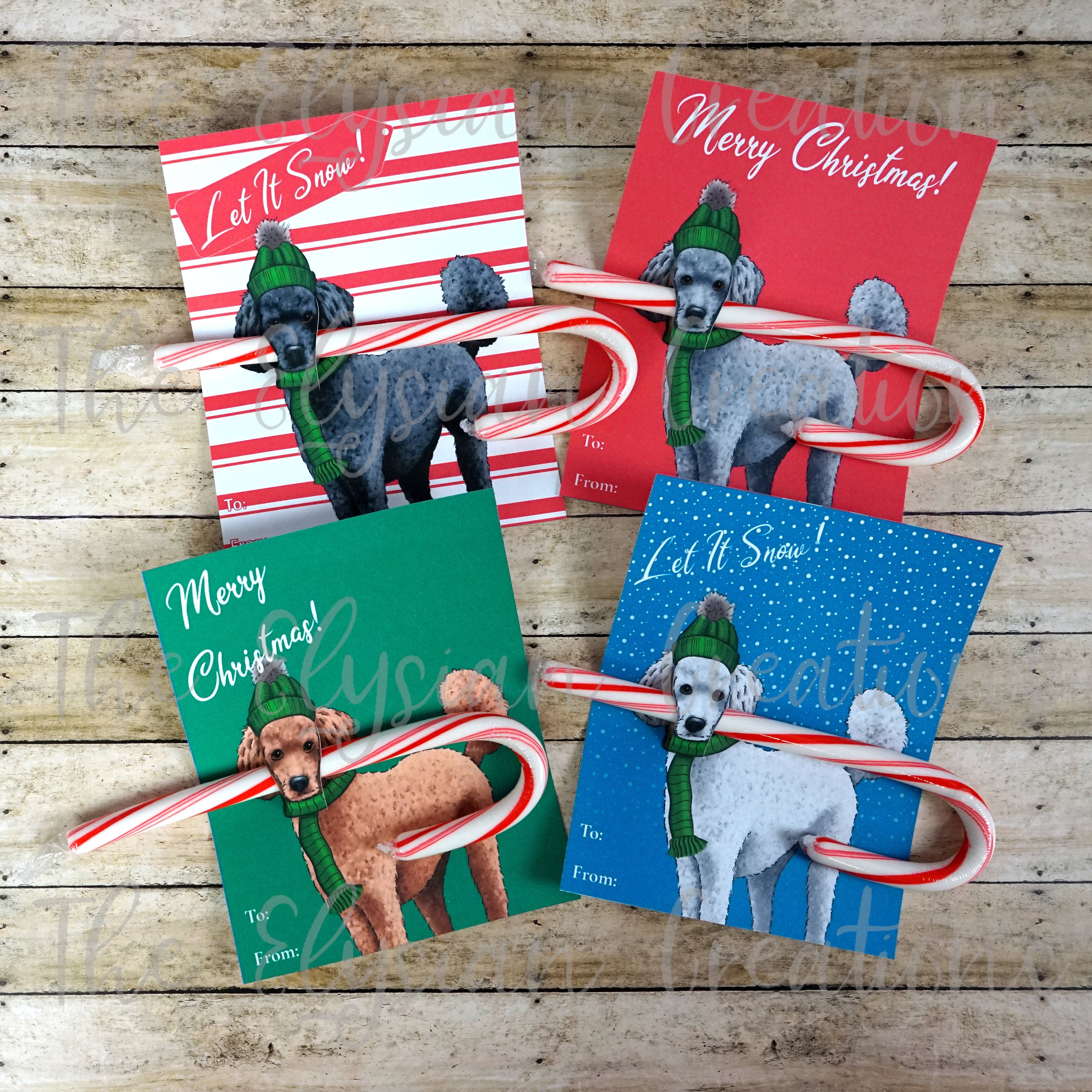 Dog Christmas Card Sayings