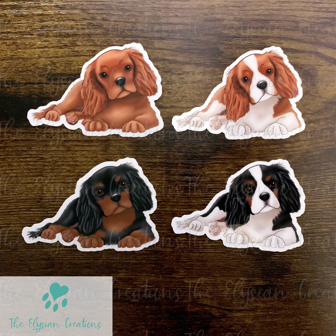 Cavalier King Charles Spaniel Sticker, Water Proof Sticker, Dog Sticker ...