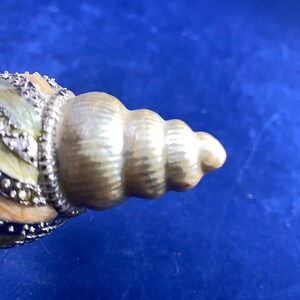 Rhinestone Sea Shell Picture or Place Card Holder - Etsy