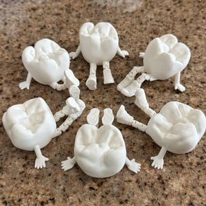 Tooth Figurine With Articulated Legs 3D Printed. Custom Dental Office ...
