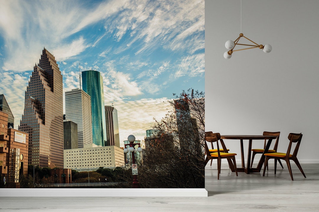 A View of Houston Wallpaper, Landscape Wall Decor | Peel and Stick or ...