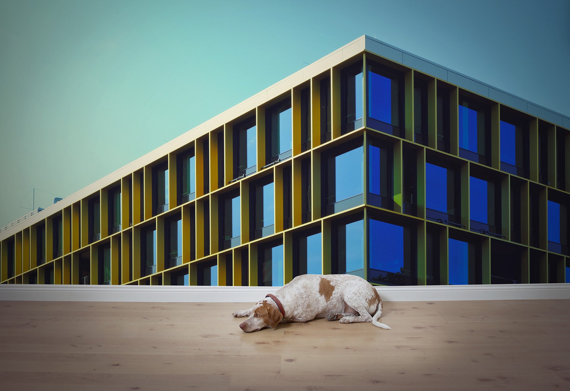 Retro Vibe Wallpaper, Big Blue Windows, Modern Minimalist Building ...