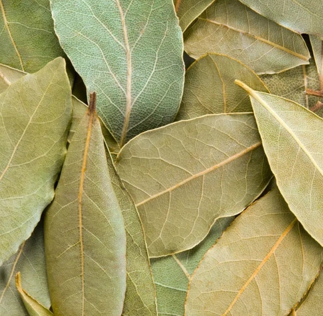 Bay Leaf Whole | Bay Leaves| Natural | Herbalist | Dried Herbs ...