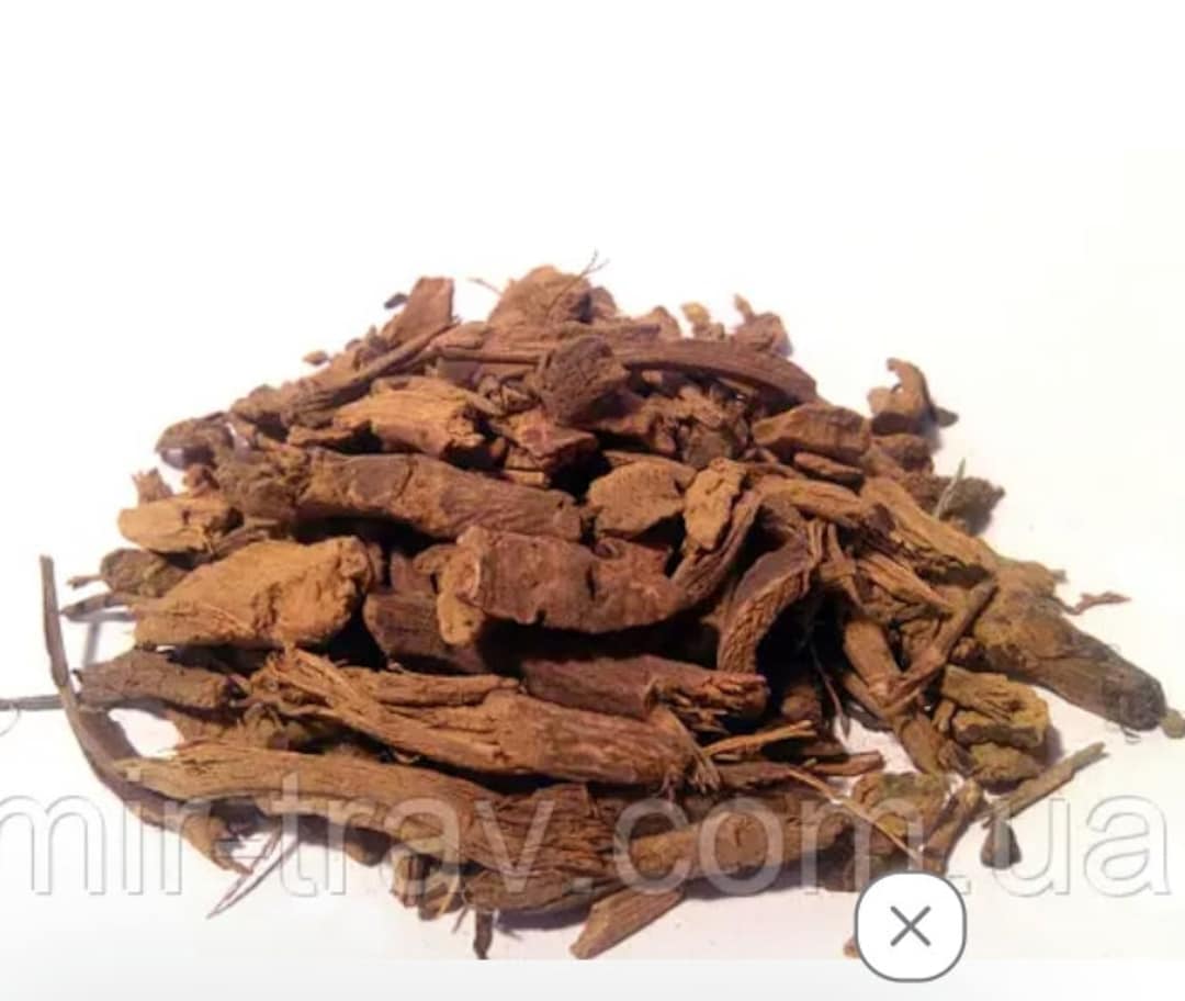 Organic Rhubarb Root / Rheum Officinale / Root/ ORGANIC / Rhubarb Root ...