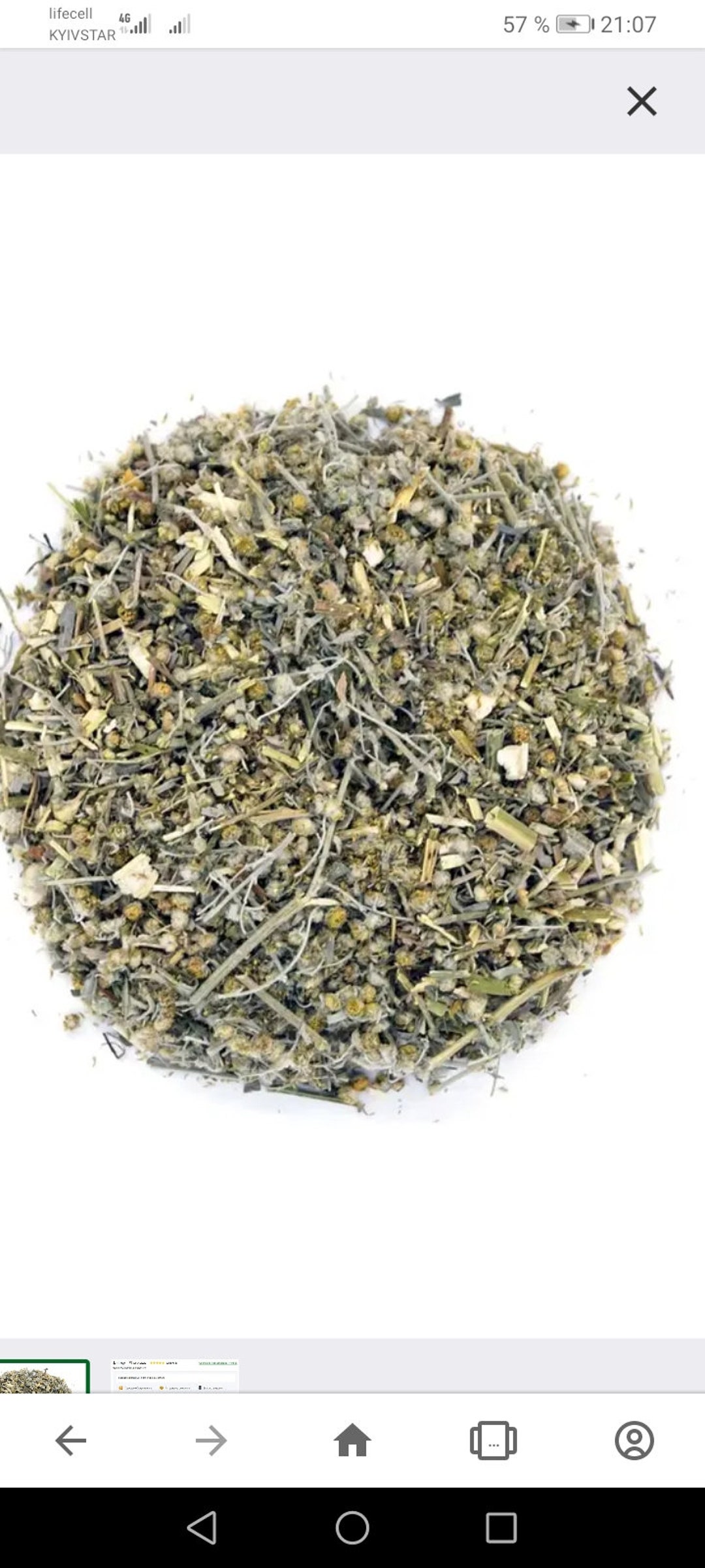 Wormwood Herb Cuts & Sifted | Wormwood | Bulk Wormwood HERB. Artemisia ...