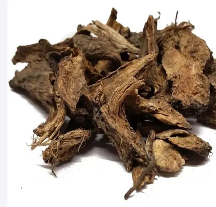 Bulk Angelica Root 1b 3lb Organic Wholesale Dried Herbs Botanical ...