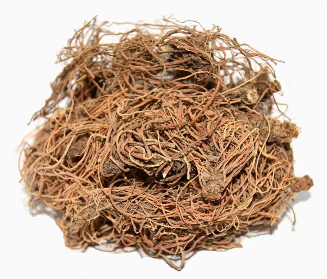 Primrose Root Primrose Primrose Tea Primrose Root Primrose Root Tea ...