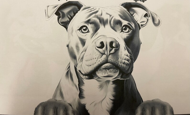 Staffy Black and White Print Personalised - Etsy UK