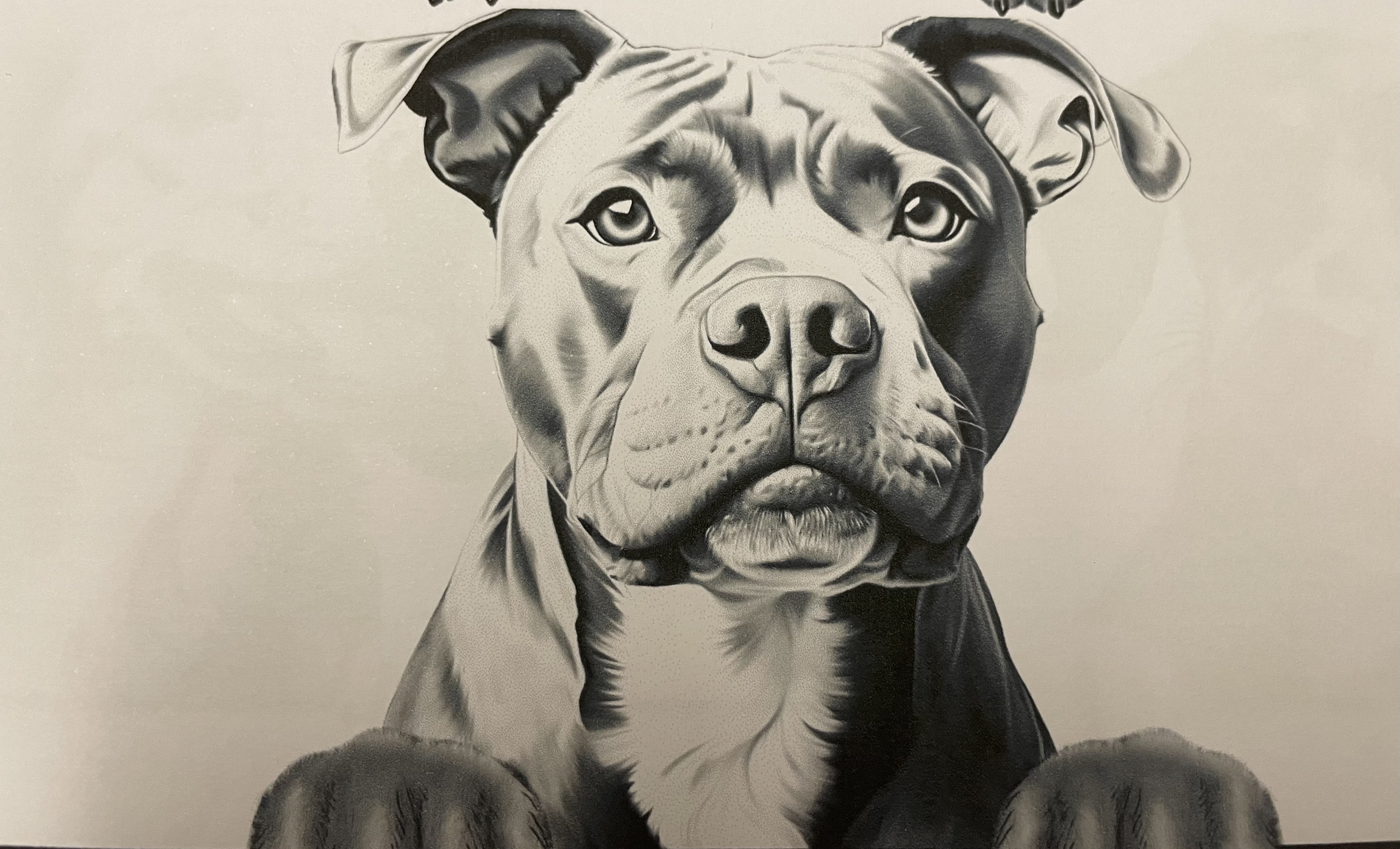 Staffy Black and White Print Personalised - Etsy UK