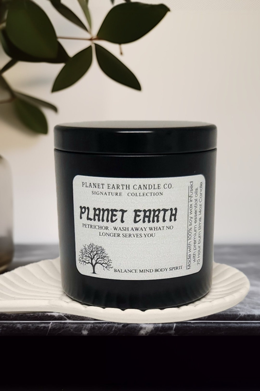 Planet Earth Candle 14oz Pure Soy Petrichor Wash Away What No Longer ...