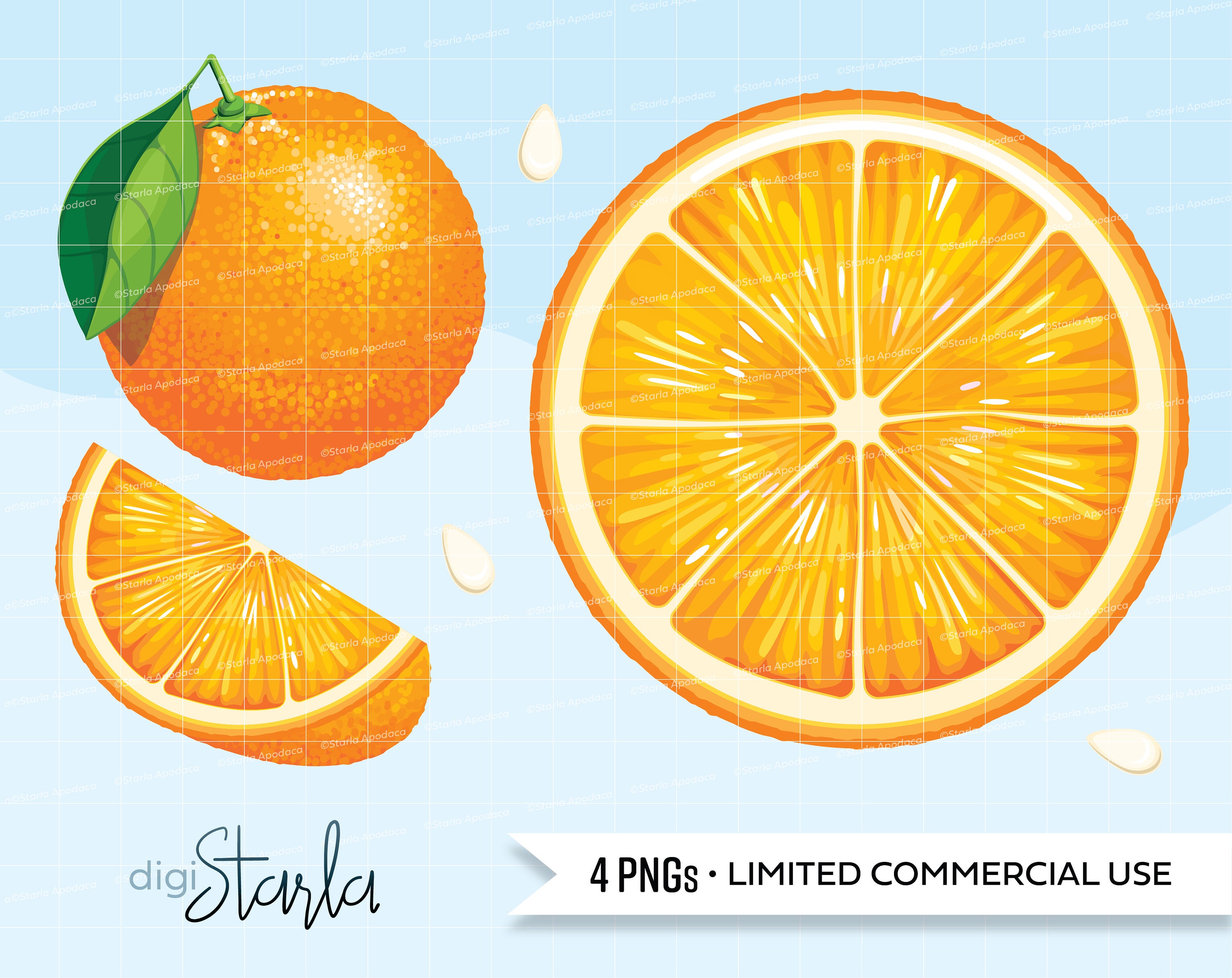 Orange Clip Art Orange Slice Orange Wedge Orange with | Etsy