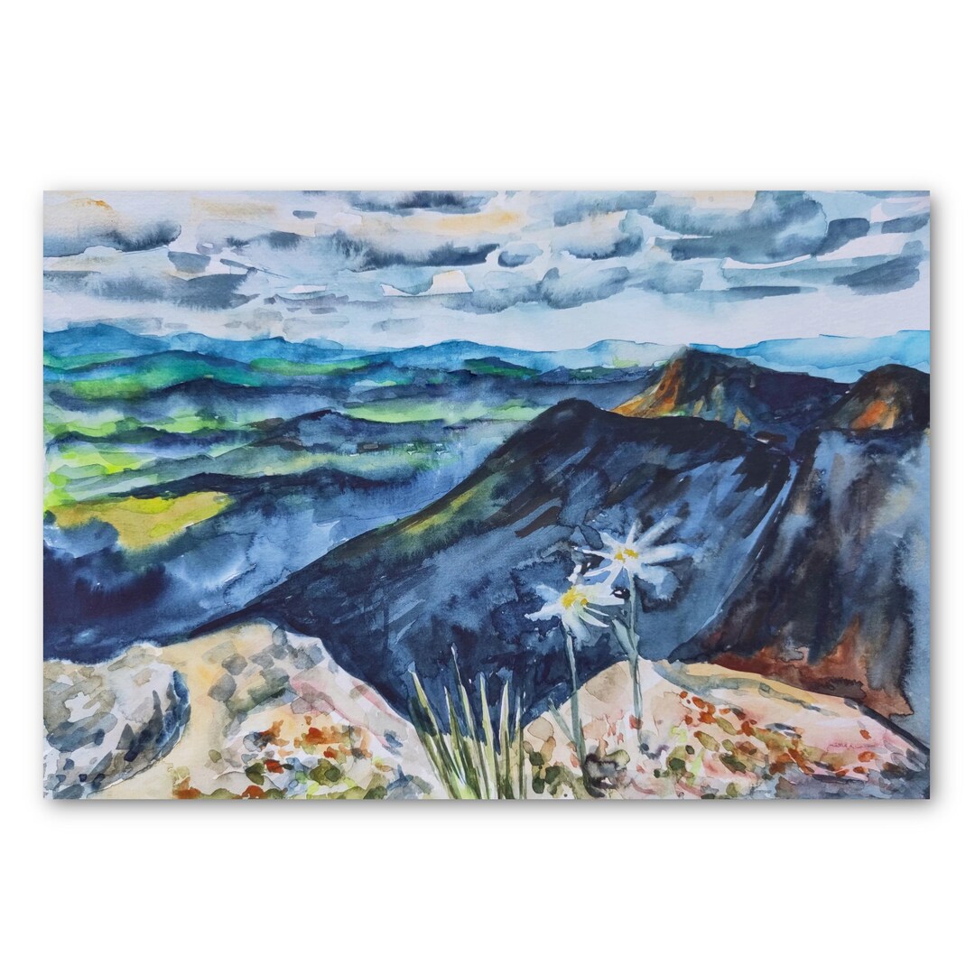 Edelweiss Art Swiss Alps Art Original Arе Watercolor Art Edelweiss ...