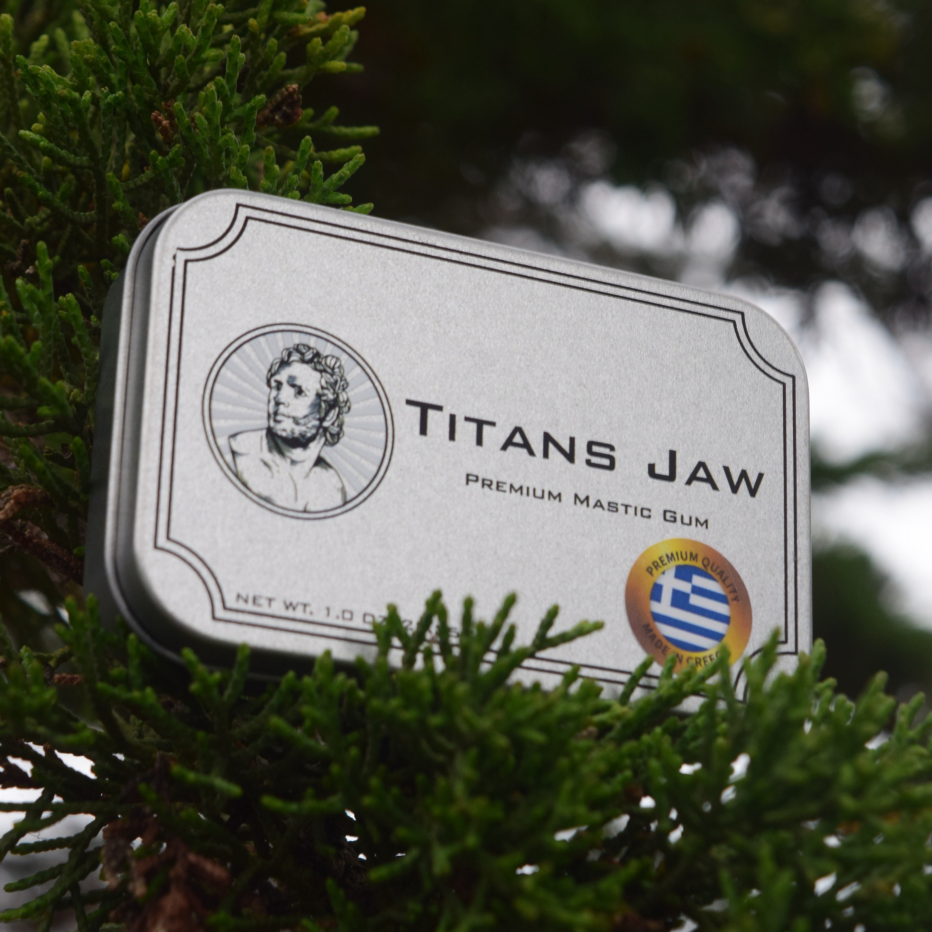 Titans Jaw Mastic Chewing Gum (grade AA) 1 Oz - Etsy