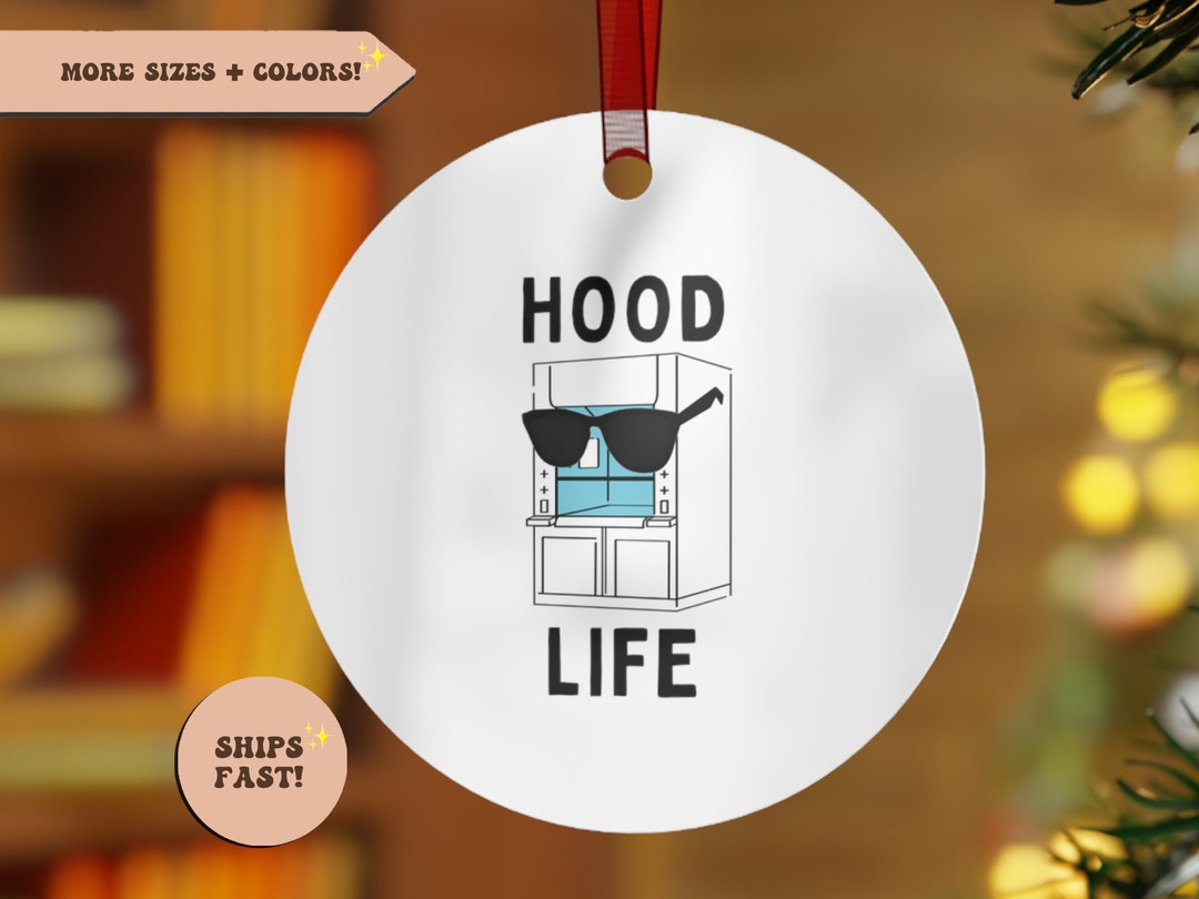 Funny Science Ornament, Hood Life, Fumehood Decor, Chemistry Gift, STEM ...