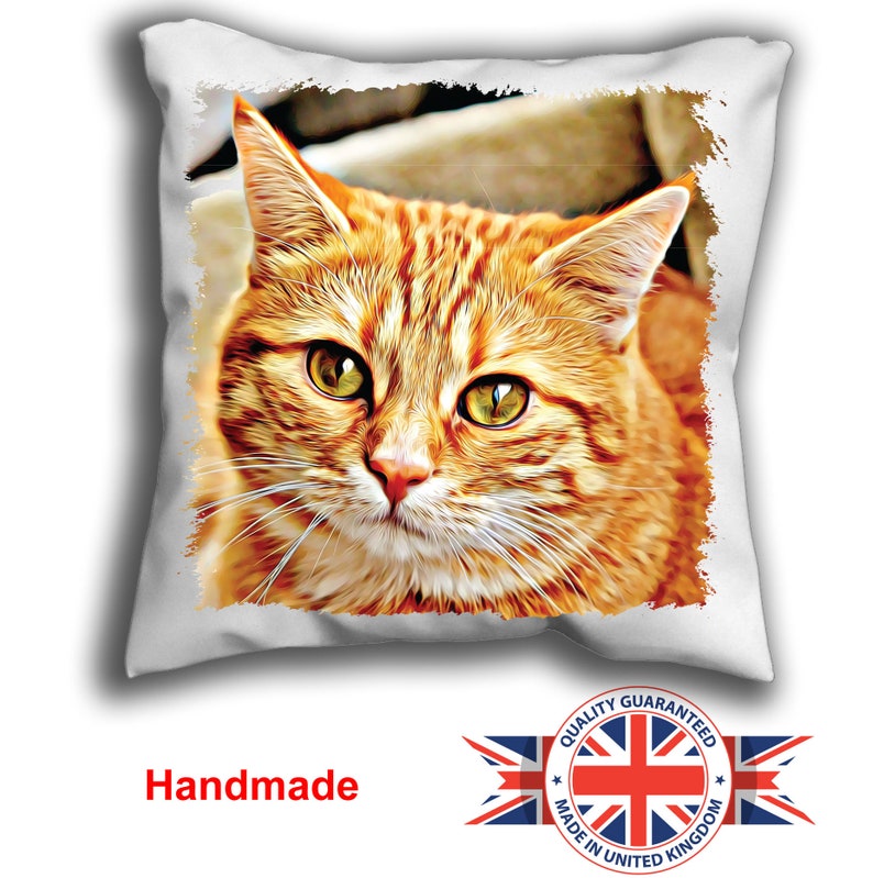 Ginger Cat Cushion Ginger Cat Cushion Choice of Sizes | Etsy
