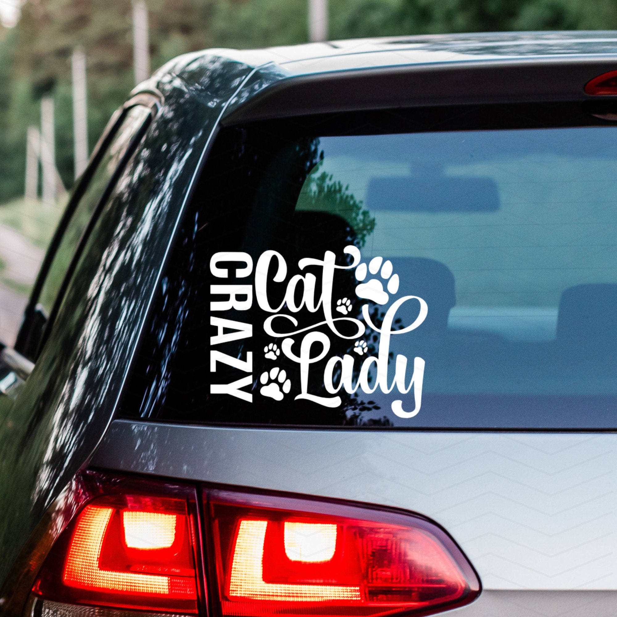 Southern Chick Decal Southern Girl Decal Gifts for Southern - Etsy