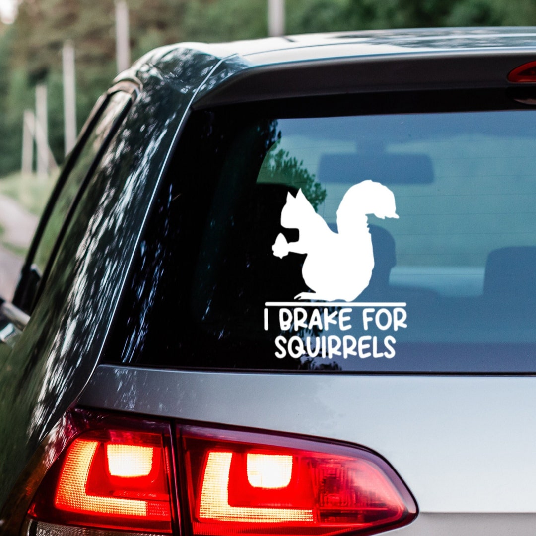 I Brake for Squirrels-car Decal-gift for Animal Lovers-squirrels ...
