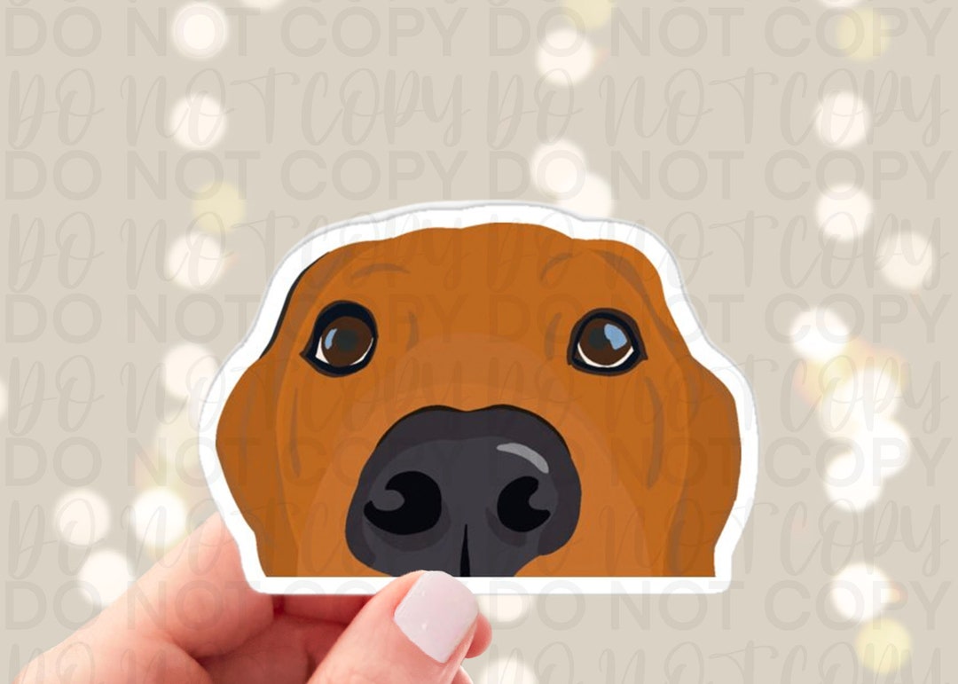Red Lab Peeker WATERPROOF STICKER - Etsy