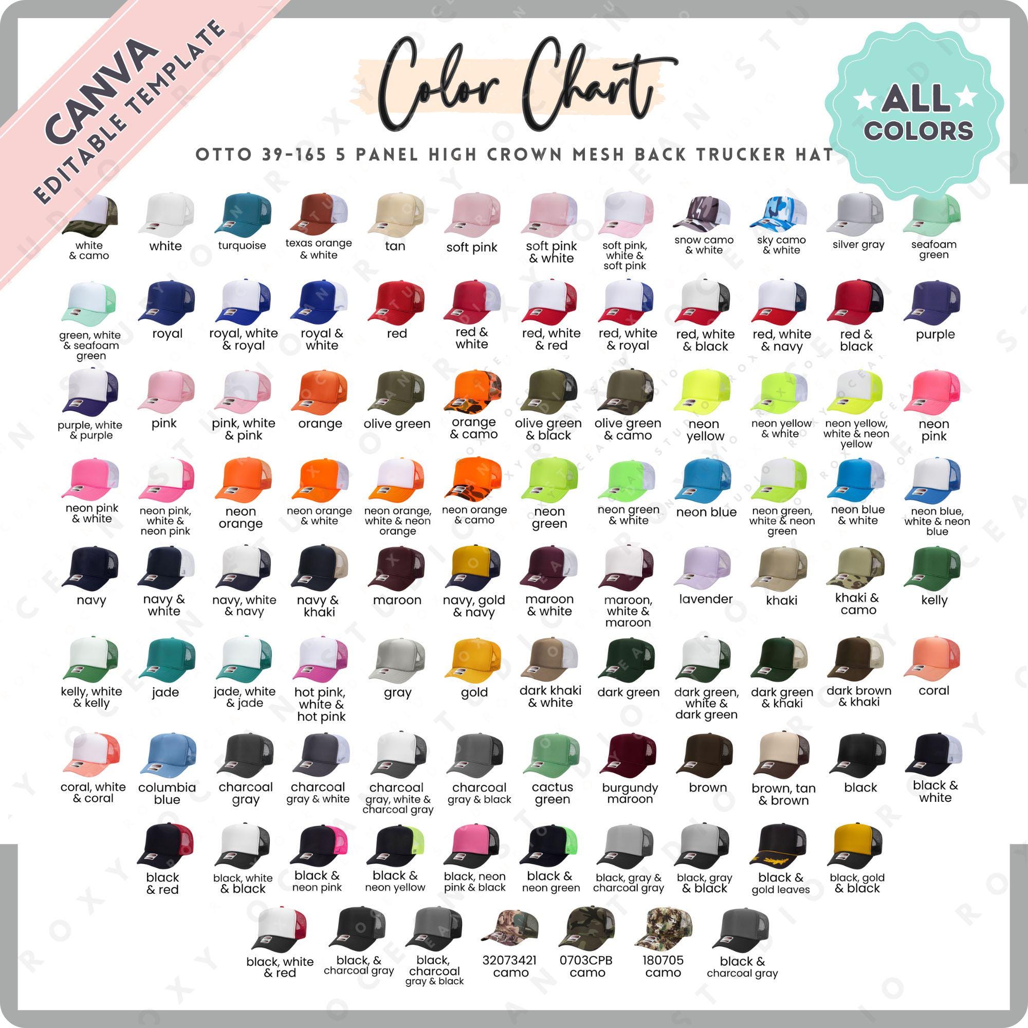 Otto 39-165 Color Chart | EDITABLE Canva Template | Otto 5 Panel High ...