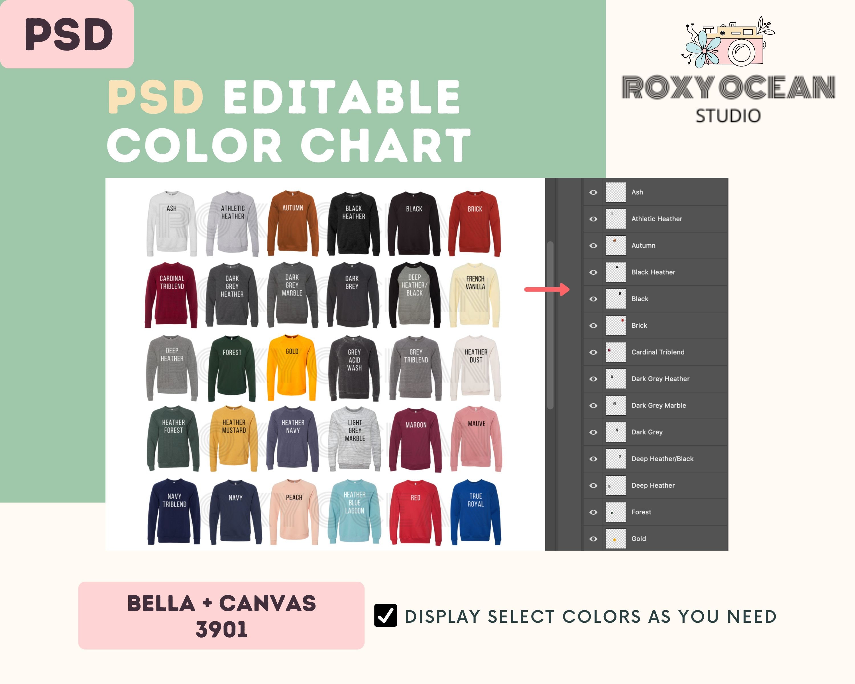 Bella Canvas 3901 Color Size Chart EDITABLE Canva Template - Etsy