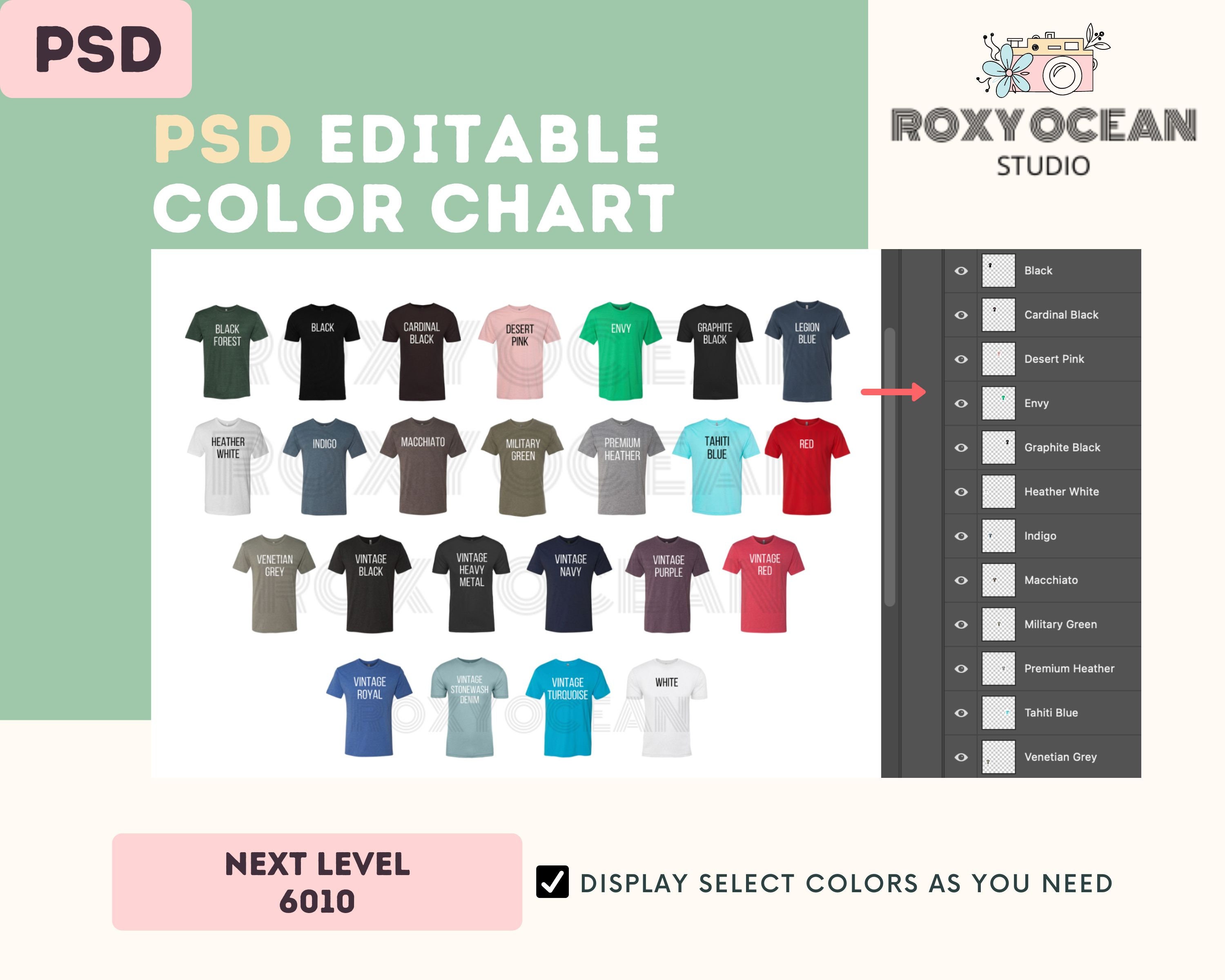 Next Level 6010 Color Size Chart EDITABLE Canva Template 6010 Unisex ...