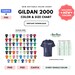 G200 Color + Size Chart | EDITABLE Canva Template | G200 Ultra Cotton T ...
