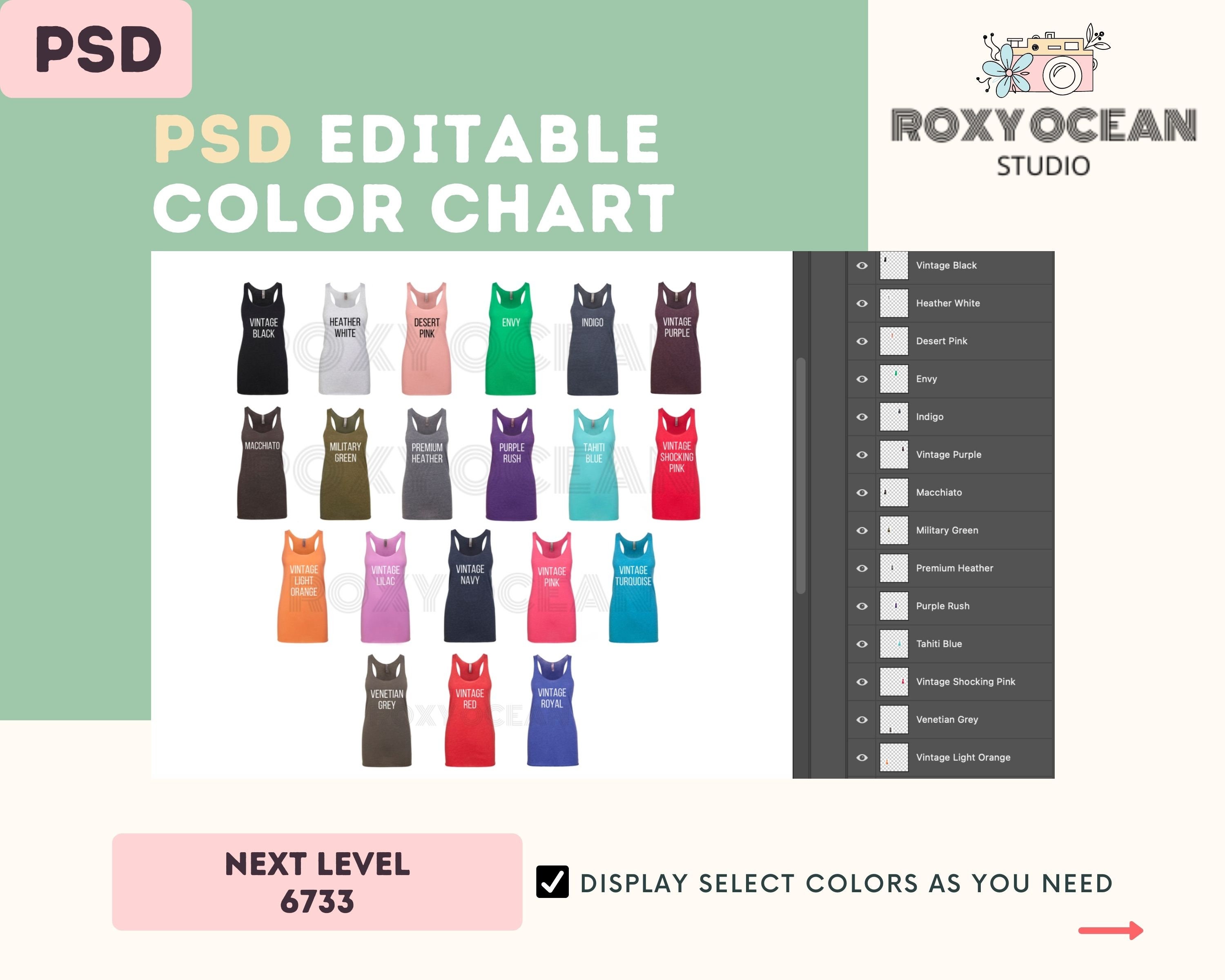 Next Level 6733 Color Size Chart EDITABLE Canva Template 6733 Womens ...