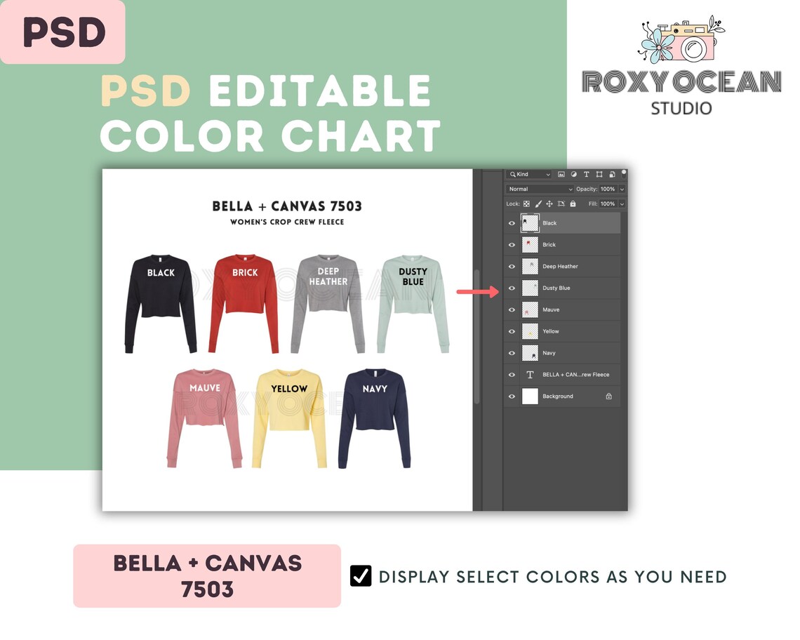 Bella Canvas 7503 Color Size Chart EDITABLE Canva Template - Etsy