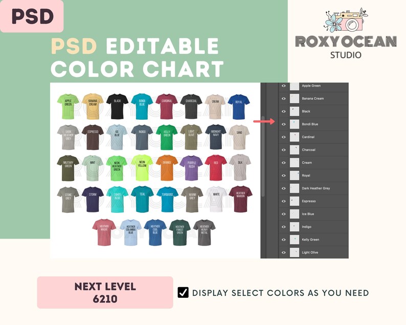 Next Level 6210 Color + Size Chart | EDITABLE Canva Template | 6210 ...