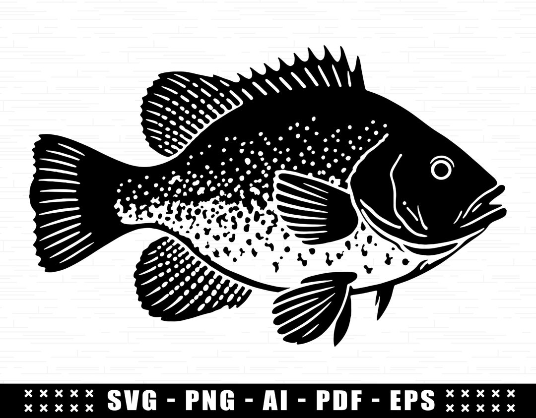 Crappie Fish SVG, Cricut Crappie SVG Design File, Easy Cut Fish ...