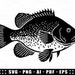 Crappie Fish SVG, Cricut Crappie SVG Design File, Easy Cut Fish ...