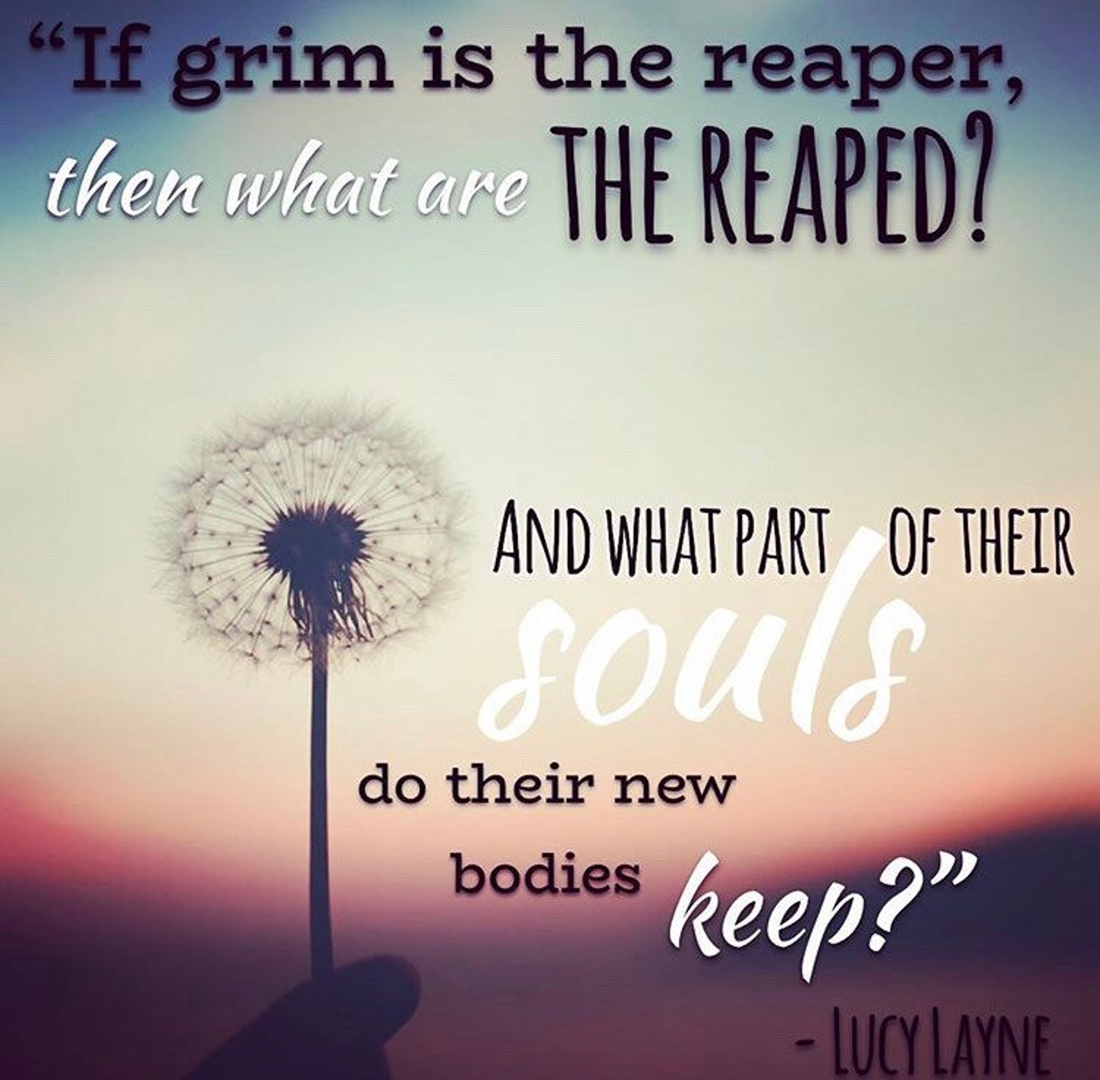 Reaped Wall Art With Quotes | Etsy