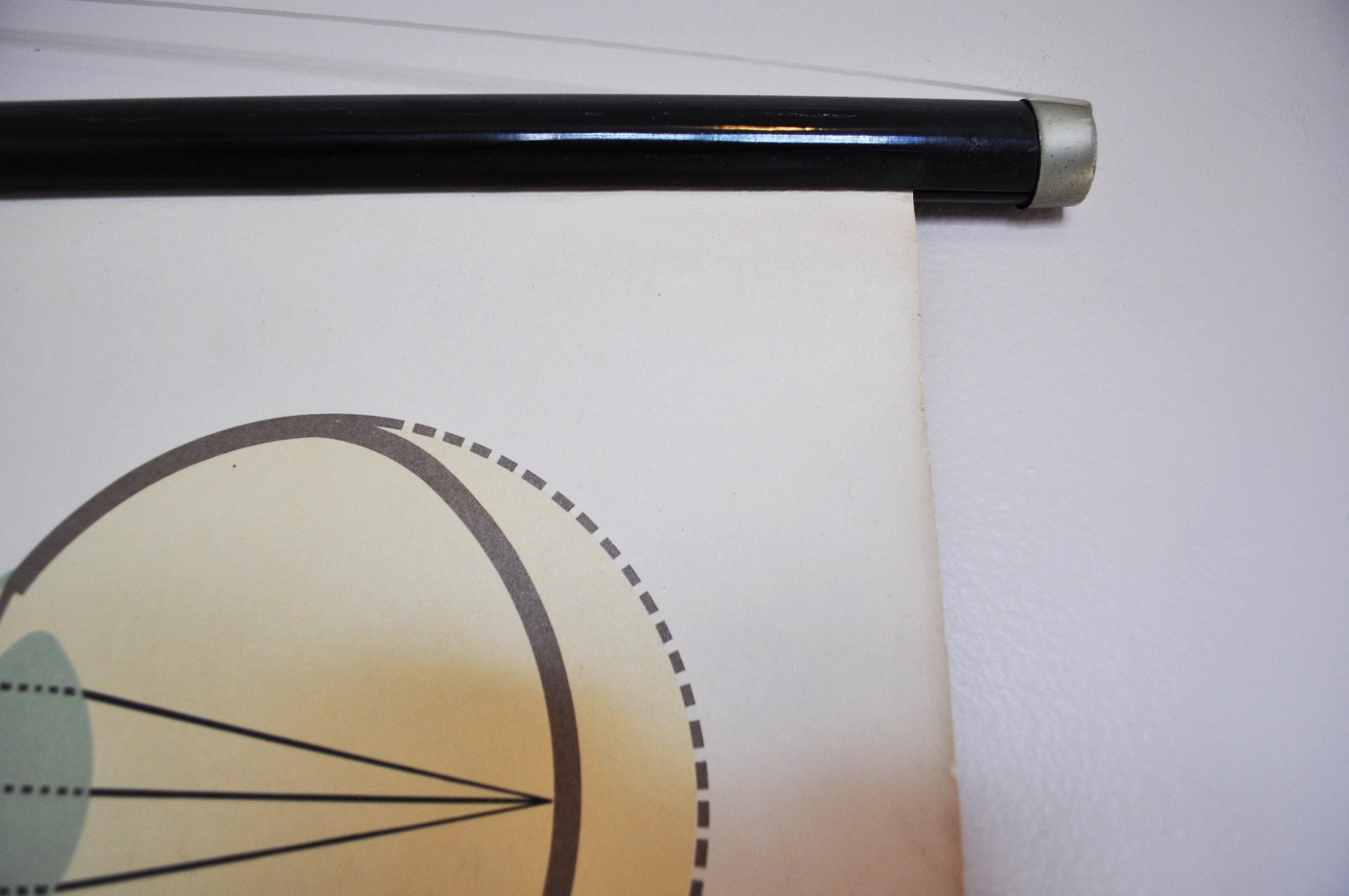 Wall Chart - the Eye: Vision (brain Light Pupil Sight Human Anatomy ...