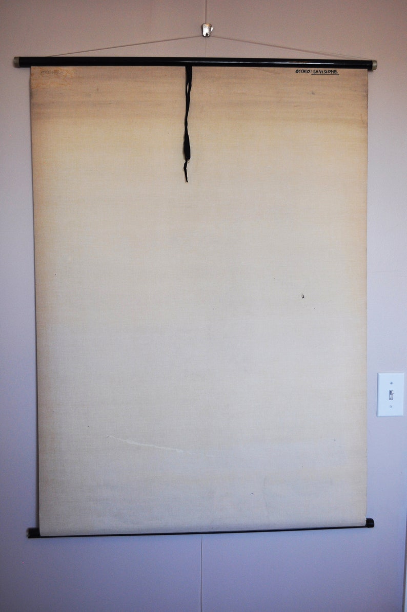 Wall Chart - the Eye: Vision (brain Light Pupil Sight Human Anatomy ...