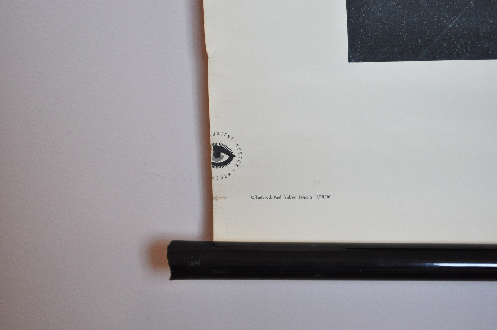 Wall Chart - Endocrine Glands (anatomy Biology School Medical Poster ...