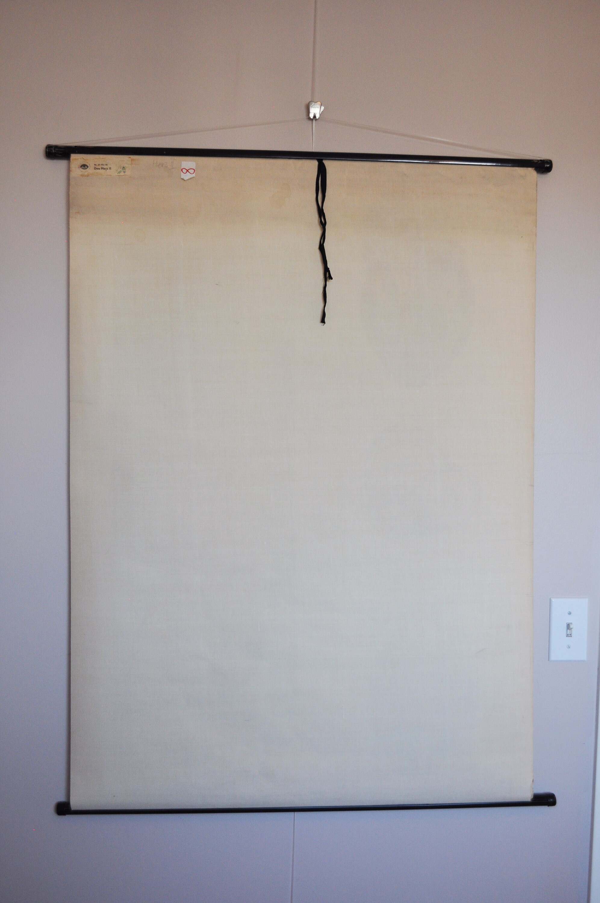 Wall Chart the Heart II anatomy Biology School Medical | Etsy