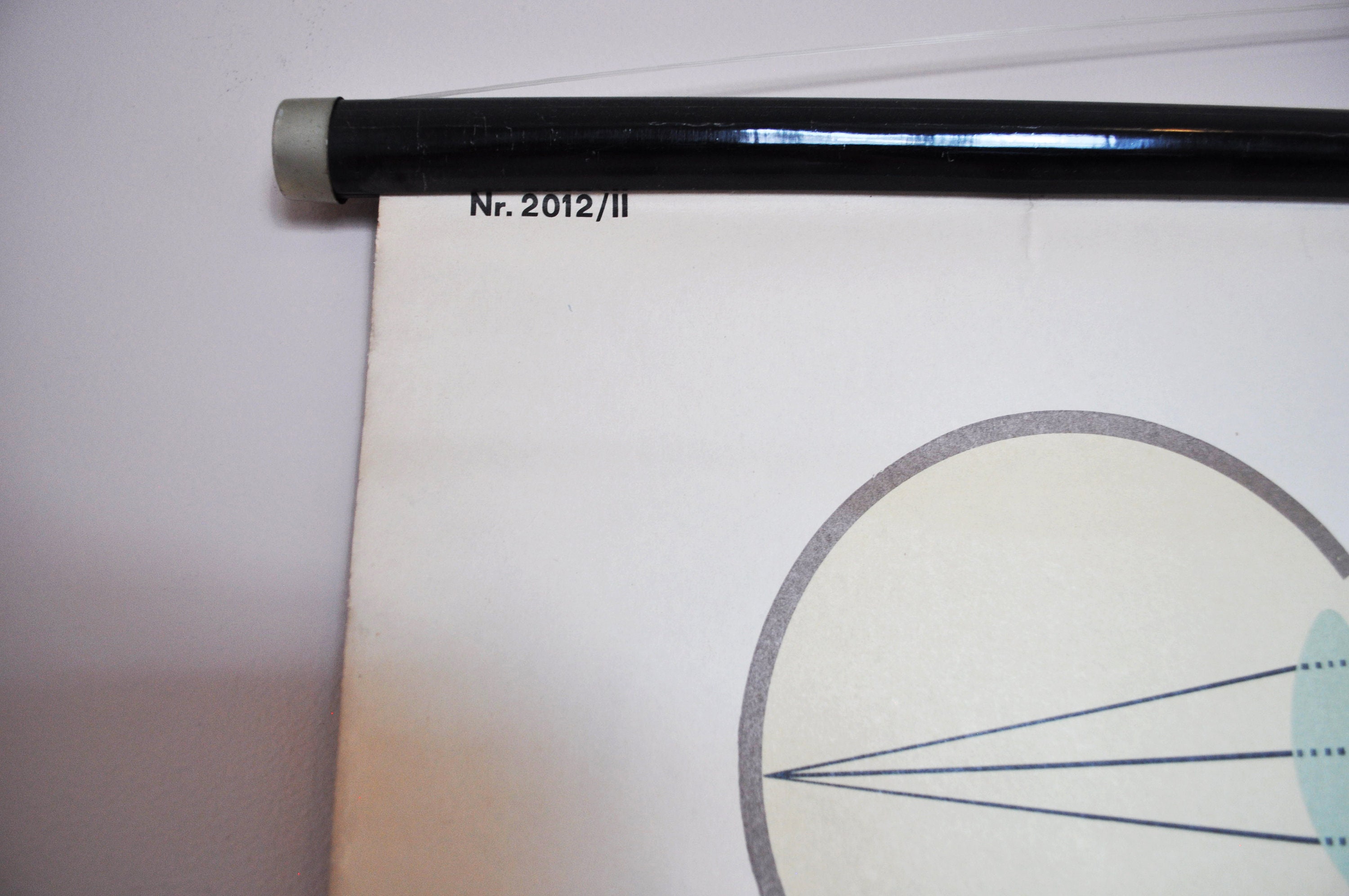 Wall Chart - the Eye: Vision (brain Light Pupil Sight Human Anatomy ...