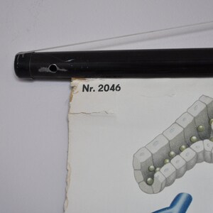 Wall Chart - Endocrine Glands (anatomy Biology School Medical Poster ...