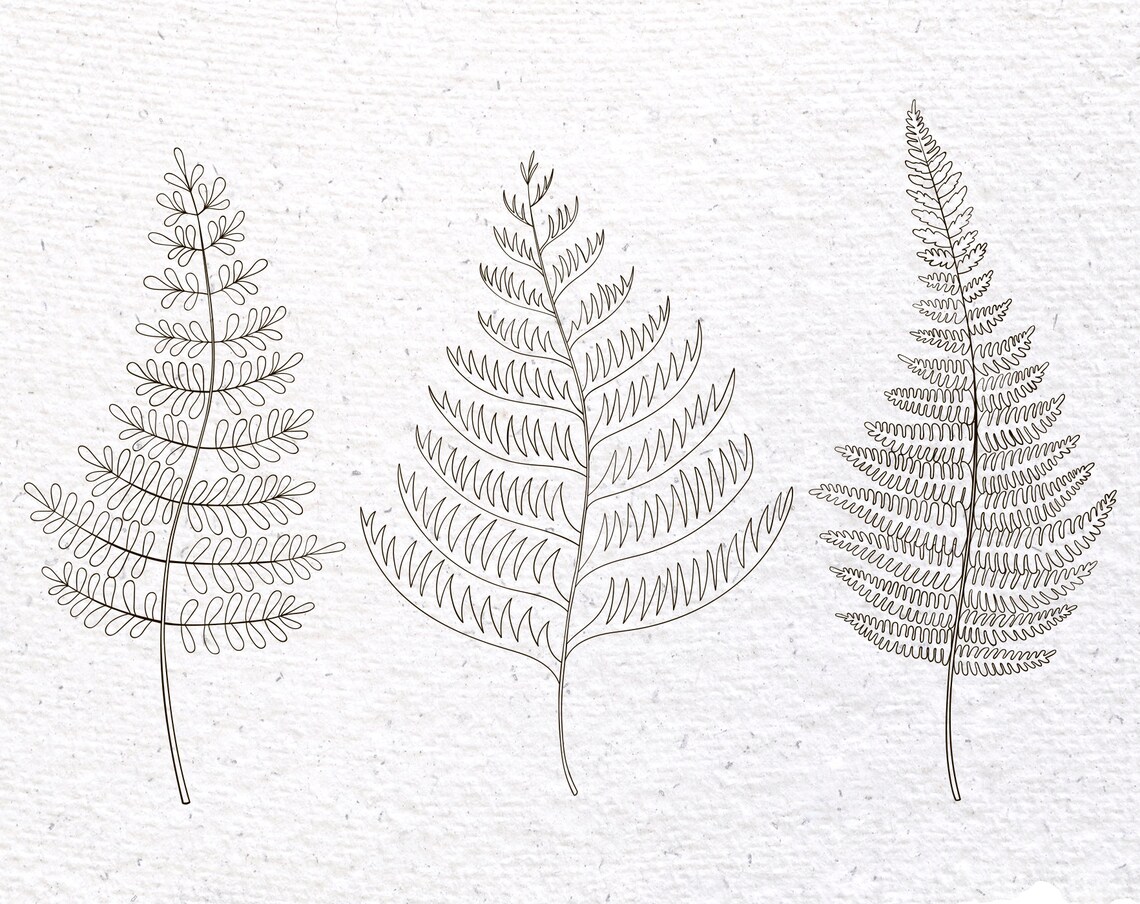 Greenery doodle sketch hand drawn clipart Leaf line art | Etsy