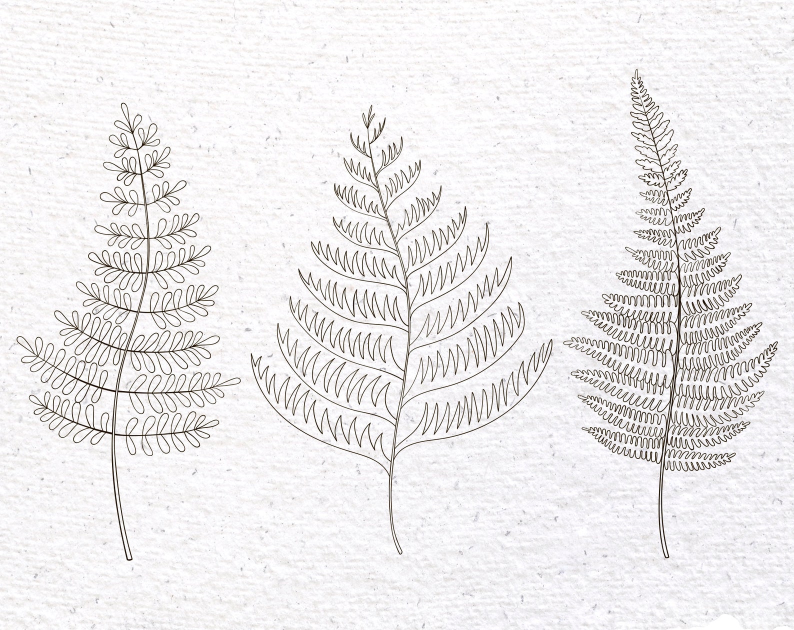 Greenery doodle sketch hand drawn clipart Leaf line art | Etsy