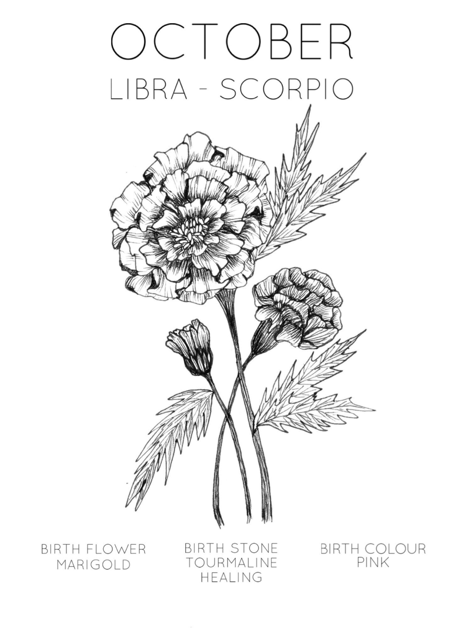 Zodiac Print. Horoscope Print. Birth Sign Print. October - Etsy UK