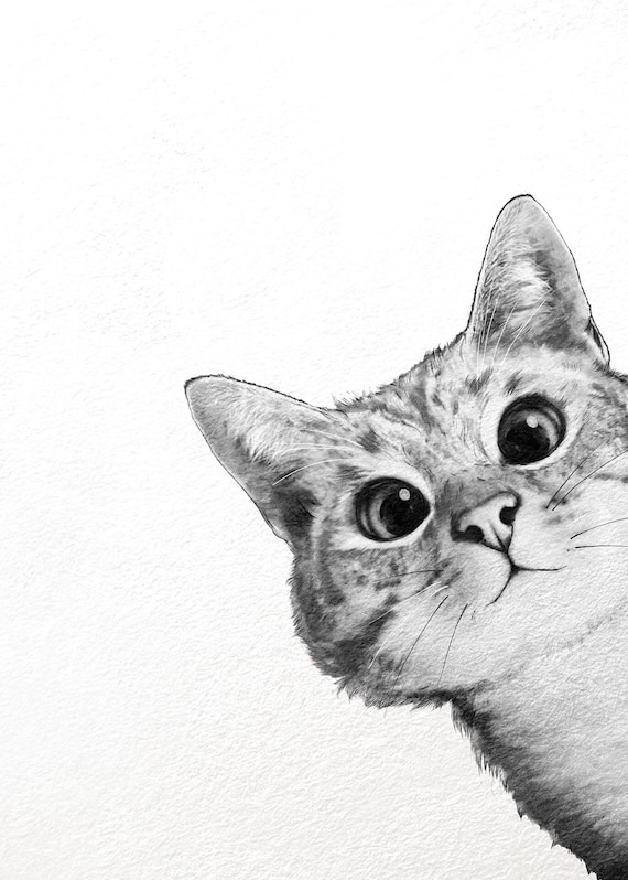 Disegni Di Animali In Bianco E Nero