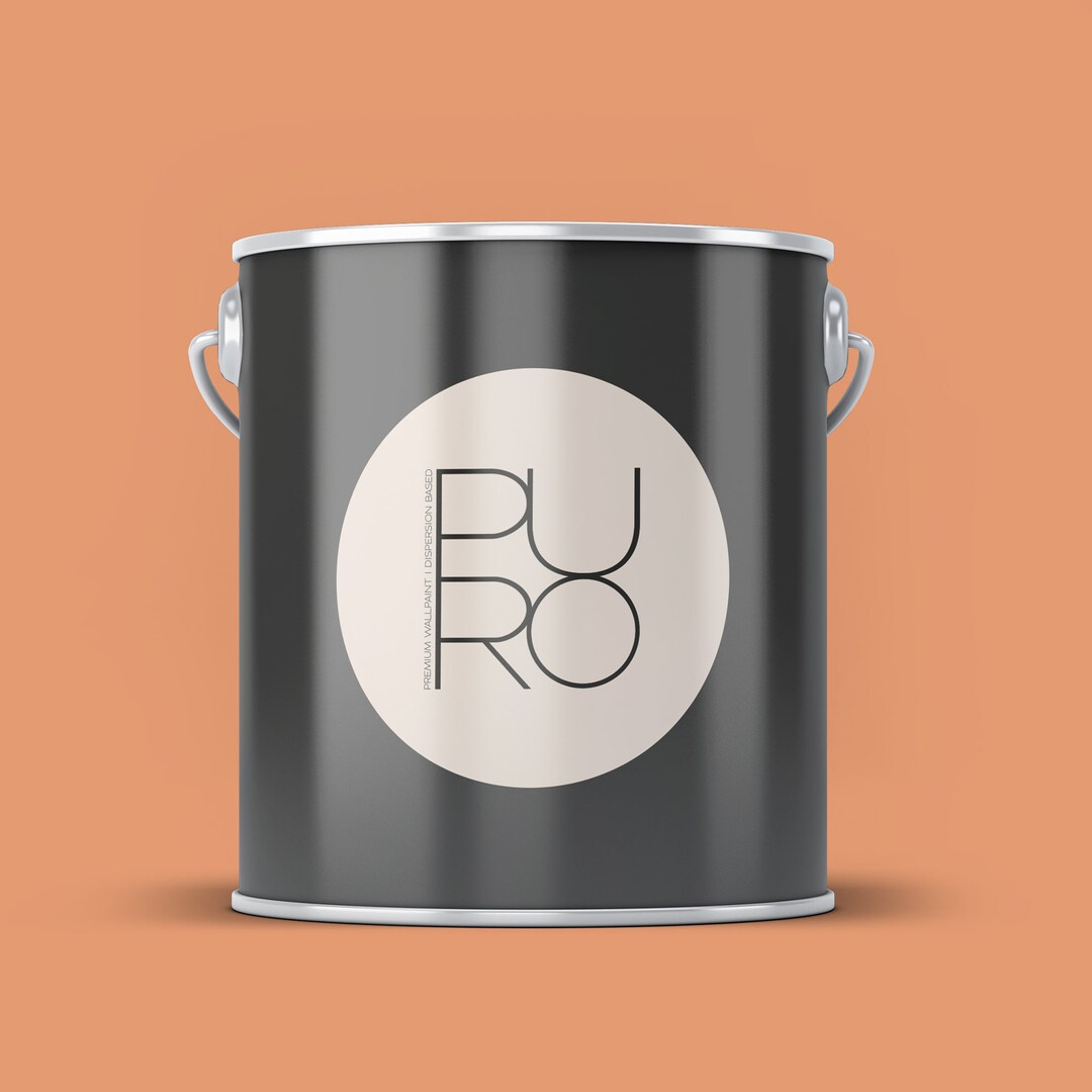 Orange PURO Wall Paint 5 Liters C9002 Matt Emulsion Paint Dusty Orange ...